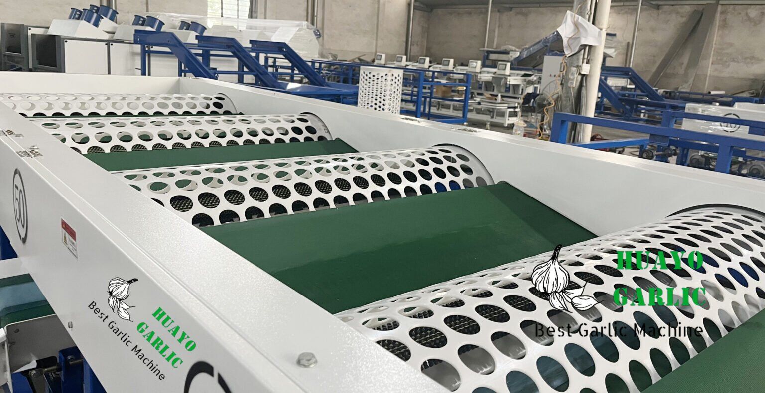 HGB-8 Garlic Bulb Sorting Machine - Best Garlic Machine