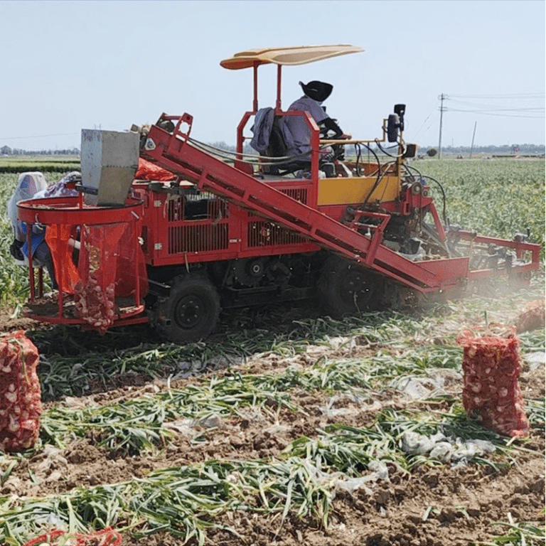 Automatic Garlic Harvester with Bagger - Best Garlic Machine