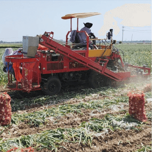 Automatic Garlic Harvester with Bagger - Best Garlic Machine
