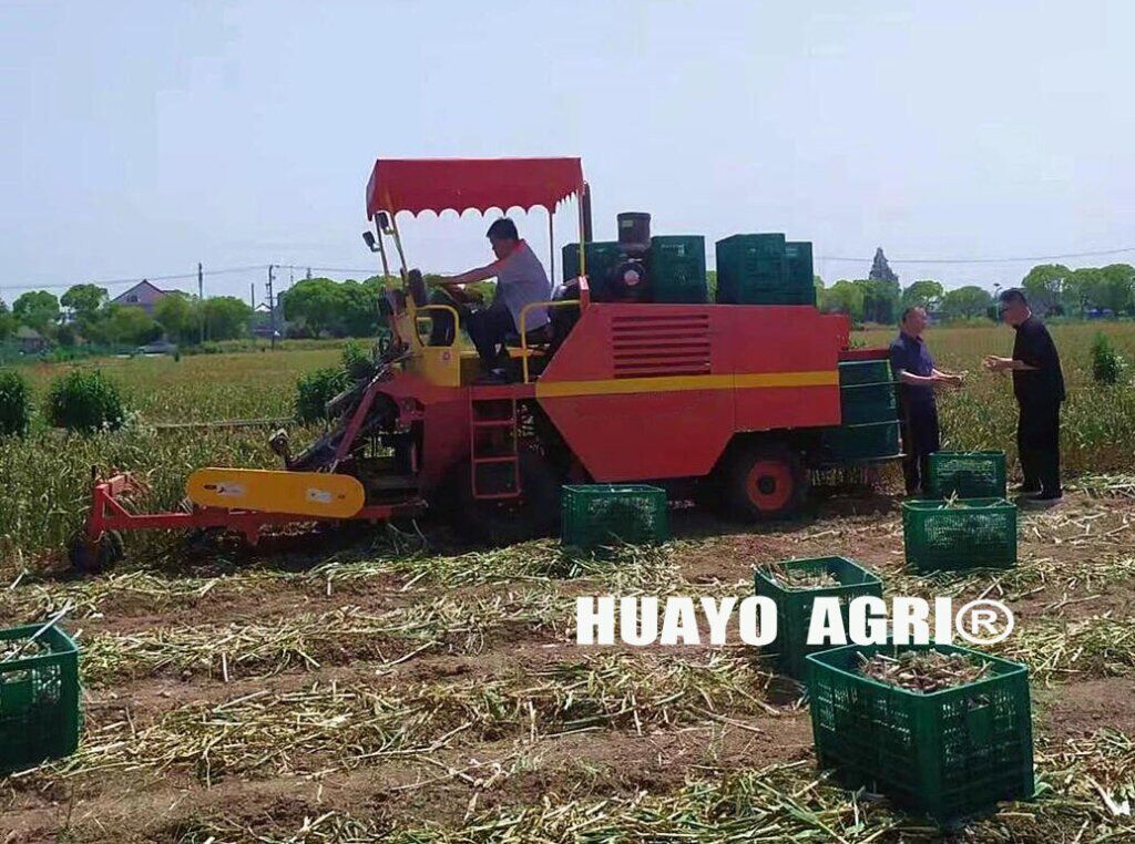 Automatic Garlic Harvester with Bagger - Best Garlic Machine