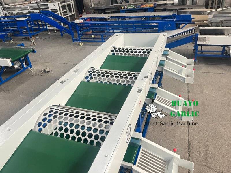 HGBM-3 Garlic Cleaning and Sorting Machine - Best Garlic Machine