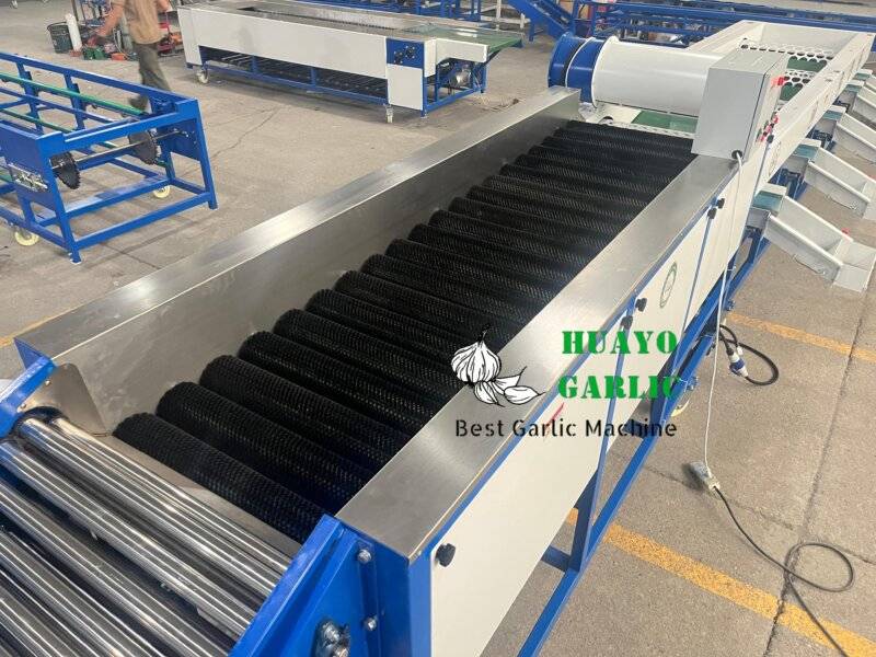 HGBM-3 Garlic Cleaning and Sorting Machine - Best Garlic Machine